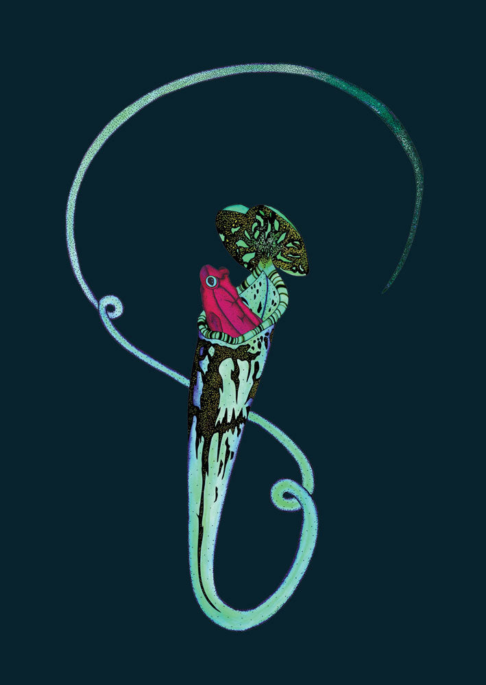 Mutualistic Relationships Between Frogs and Carnivorous Plants – Wilful Ink